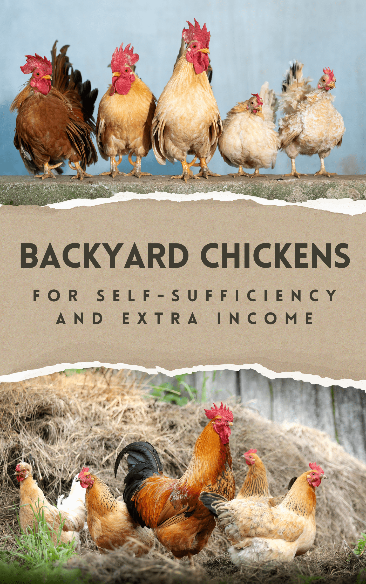 Ultimate Chicken Farming Bundle – Raise Healthy Chickens for Eggs, Meat ...